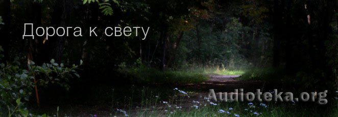 Дорога к свету - Audioteka.org